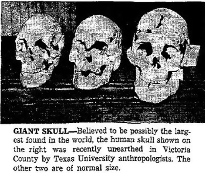 giant_texas_skulls